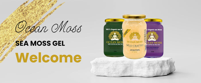 Ocean Moss: Nourish Your Body and Skin with Sea Moss
